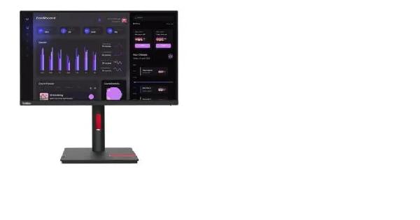 Monitor Lenovo ThinkVision T24i-30 (63CFMATXEU) 24" Full HD IPS 60Hz ...